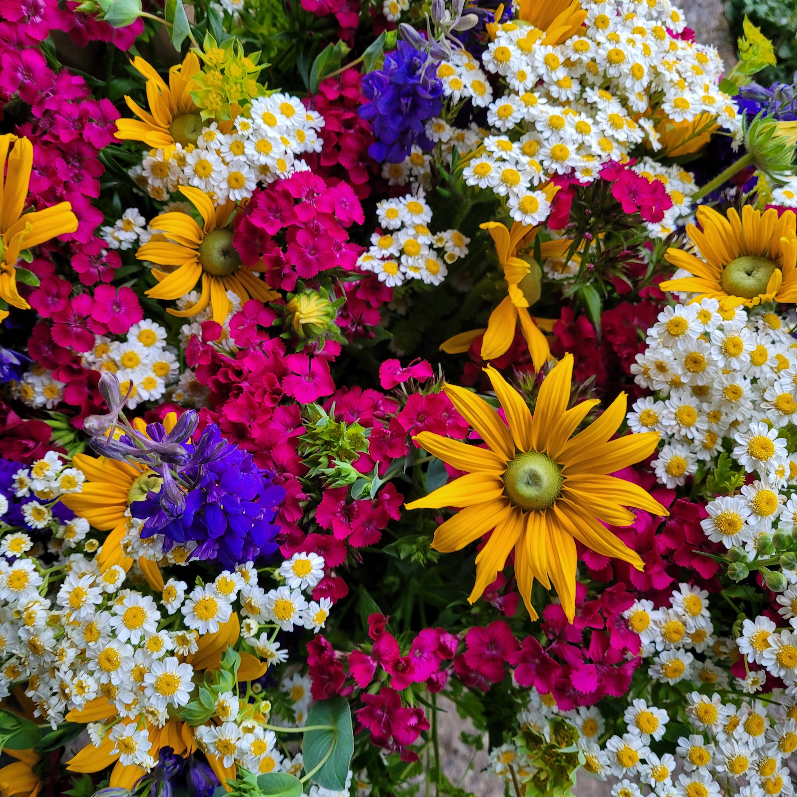 Ground School Cool Flowers Coaching | Flygirl Flowers